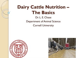 PPT - Dairy Cattle Nutrition – The Basics PowerPoint Presentation, free ...