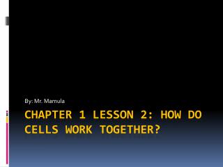 PPT - Chapter 1 lesson 2: How do cells work together? PowerPoint ...