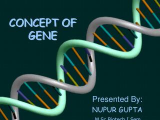 PPT - CONCEPT OF GENE PowerPoint Presentation, free download - ID:3362503