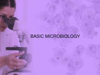PPT - BASIC MICROBIOLOGY PowerPoint Presentation, free download - ID ...