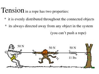 PPT - Tension in a rope has two properties: * it is evenly distributed ...