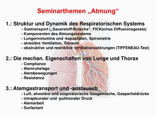 PPT - Atmungskette PowerPoint Presentation - ID:6377205