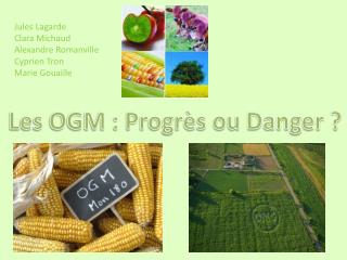 PPT - Les OGM : Progrès ou Danger ? PowerPoint Presentation, free ...