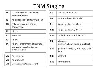 PPT - TNM Staging PowerPoint Presentation, free download - ID:3456637