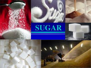 PPT - SUGAR PowerPoint Presentation, free download - ID:3554535