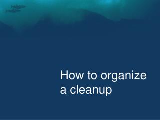 PPT - Disk Cleanup Software: The Way Out PowerPoint Presentation - ID ...