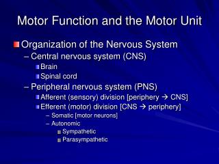 PPT - Motor Function and the Motor Unit PowerPoint Presentation, free ...