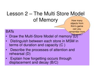PPT - Lesson 2 – The Multi Store Model of Memory PowerPoint ...