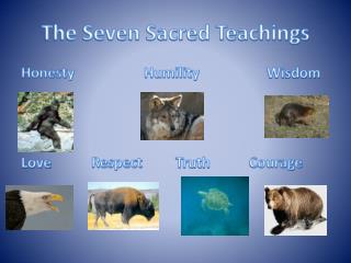 PPT - The Seven Sacred Teachings PowerPoint Presentation, free download ...