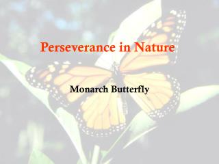 PPT - Perseverance in Nature PowerPoint Presentation, free download ...