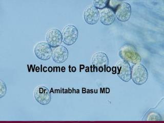 PPT - Introduction to pathology PowerPoint Presentation, free download ...