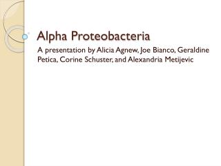 PPT - Alpha Proteobacteria PowerPoint Presentation, free download - ID:363410
