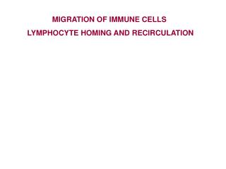 PPT - MIGRATION OF IMMUNE CELLS LYMPHOCYTE HOMING AND RECIRCULATION ...