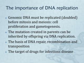 PPT - The importance of DNA replication PowerPoint Presentation, free ...