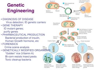 PPT - Genetic Engineering PowerPoint Presentation, free download - ID ...