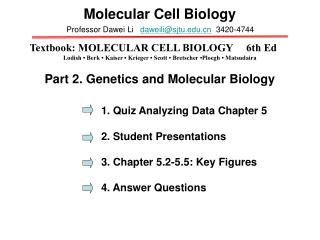 PPT - Molecular Cell Biology PowerPoint Presentation, free download ...