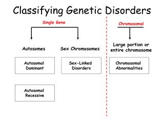 PPT - Interesting Genetic Disorders and Diseases, and Abnormalities ...