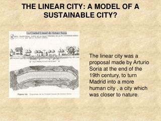 PPT - THE LINEAR CITY: A MODEL OF A SUSTAINABLE CITY? PowerPoint ...