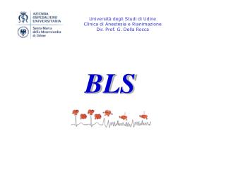 PPT - BLS PowerPoint Presentation, free download - ID:3793937