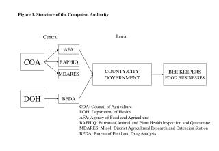 PPT - Figure 1. Structure of the Competent Authority PowerPoint ...