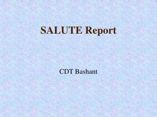 PPT - SALUTE Report PowerPoint Presentation, free download - ID:3812165