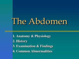 PPT - The Abdomen PowerPoint Presentation - ID:3330064
