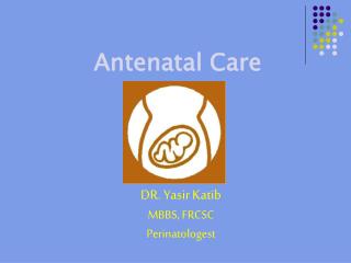 PPT - Antenatal Care PowerPoint Presentation, free download - ID:3847007