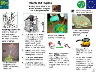 PPT - Health and Hygiene PowerPoint Presentation, free download - ID ...