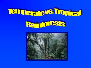 PPT - Temperate vs. Tropical Rainforests PowerPoint Presentation, free ...