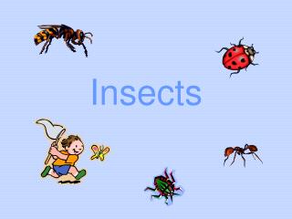 PPT - Insects PowerPoint Presentation, free download - ID:394681