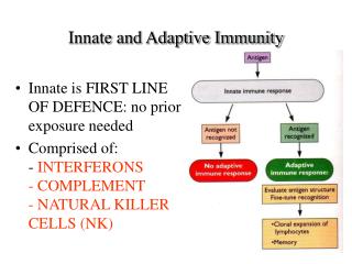 PPT - Innate Immunity -First Line of Host Defence PowerPoint ...