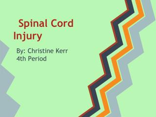 PPT - Spinal Cord Injury PowerPoint Presentation, free download - ID ...