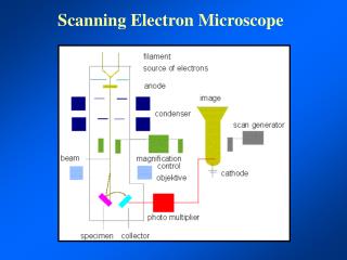 PPT - Scanning Electron Microscope PowerPoint Presentation, free ...