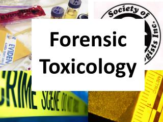 PPT - Forensic Toxicology PowerPoint Presentation, free download - ID ...