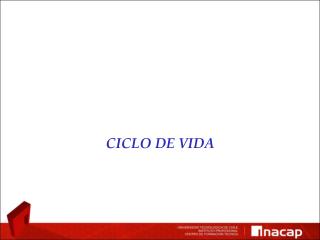 PPT - CICLO DE VIDA PowerPoint Presentation, free download - ID:4062511