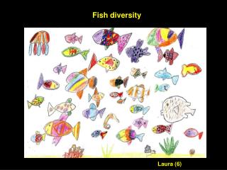 PPT - Fish diversity PowerPoint Presentation, free download - ID:4068377