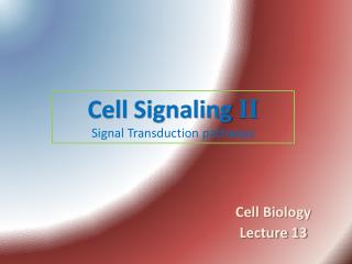 PPT - Cell Signaling II Signal Transduction pathways PowerPoint ...