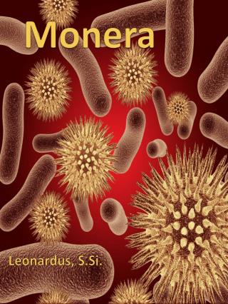 PPT - REGNUL MONERA PowerPoint Presentation - ID:3995795