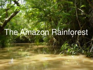 PPT - The Amazon Rainforest PowerPoint Presentation, free download - ID ...