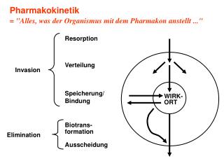 PPT - Chemische Bindung PowerPoint Presentation - ID:895613