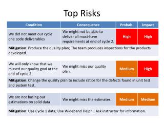 PPT - Top Risks PowerPoint Presentation, free download - ID:4304563