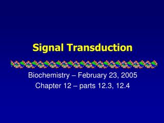 PPT - Signal Transduction PowerPoint Presentation, free download - ID ...