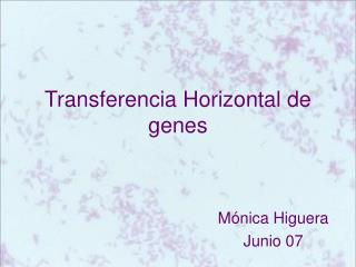 PPT - Transferencia Horizontal de genes PowerPoint Presentation, free ...