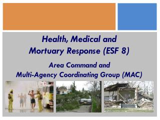 PPT - Health, Medical and Mortuary Response (ESF 8) Area Command and ...