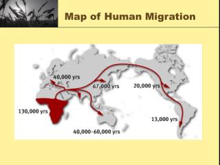 PPT - Map of Human Migration PowerPoint Presentation, free download ...