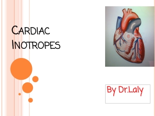PPT - Cardiac Inotropes PowerPoint Presentation, free download - ID:504059