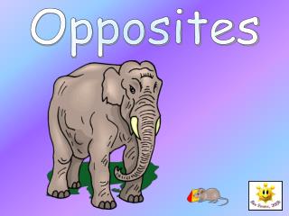 PPT - Opposites PowerPoint Presentation, free download - ID:521056