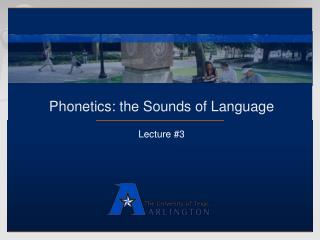 PPT - Phonetics: the Sounds of Language PowerPoint Presentation, free ...