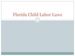 PPT - Florida Child Labor Laws PowerPoint Presentation, free download ...