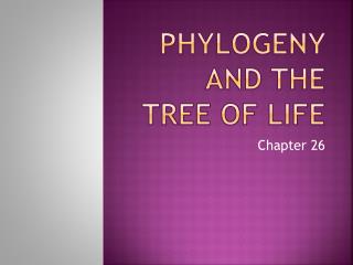 PPT - PHYLOGENY and the TREE of LIFE PowerPoint Presentation, free ...